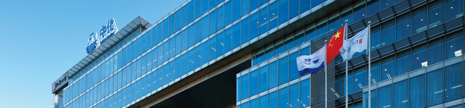 SINOCHEM ENERGY > About Us > Management Team > Directors